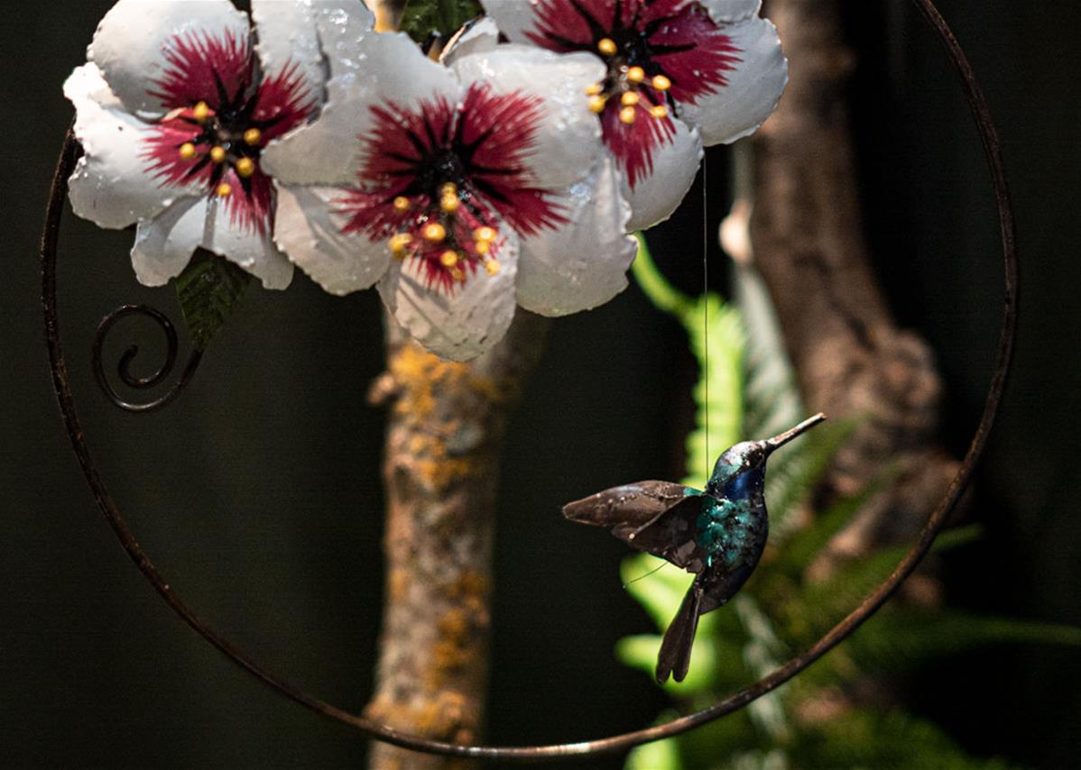 Cercle Colibri Hibiscus - Arrosoir et Persil